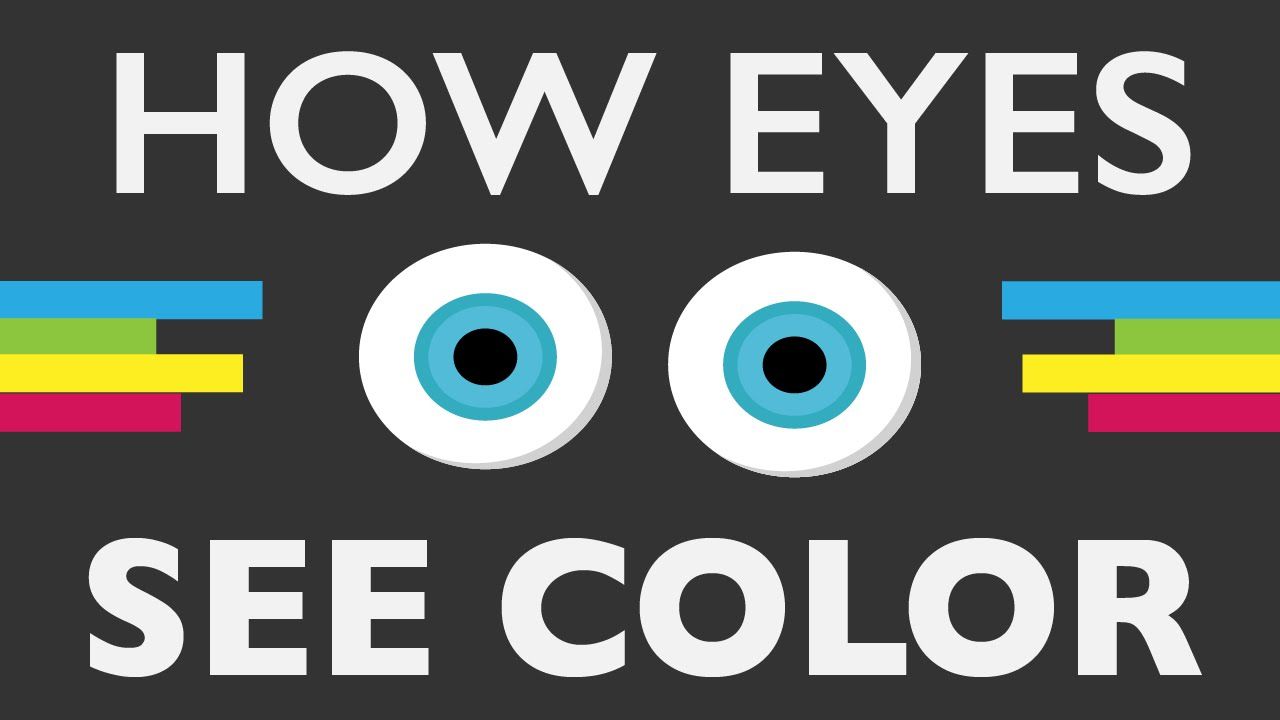 How Do Your Eyes See Color? – alucation