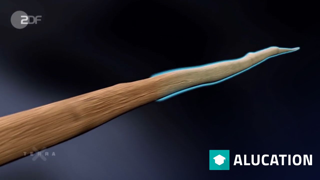 Spears - the oldest weapons of mankind – alucation