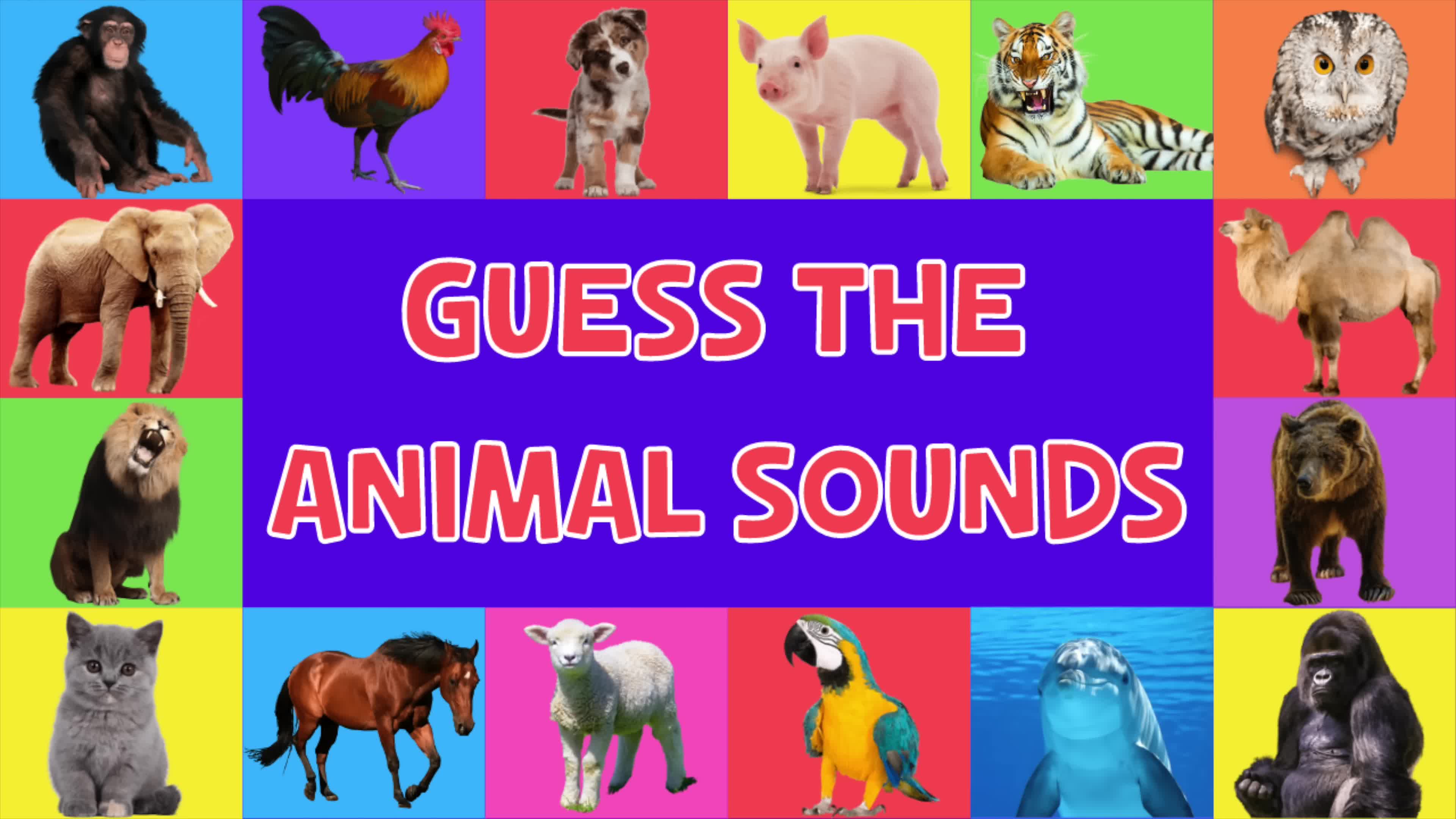 Guess the Animal by Sound Challenge! – alugha