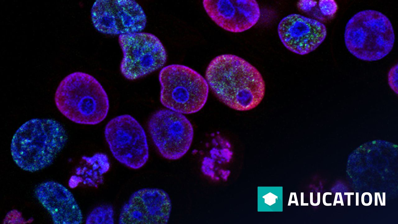 Personal DNA Testing – alucation