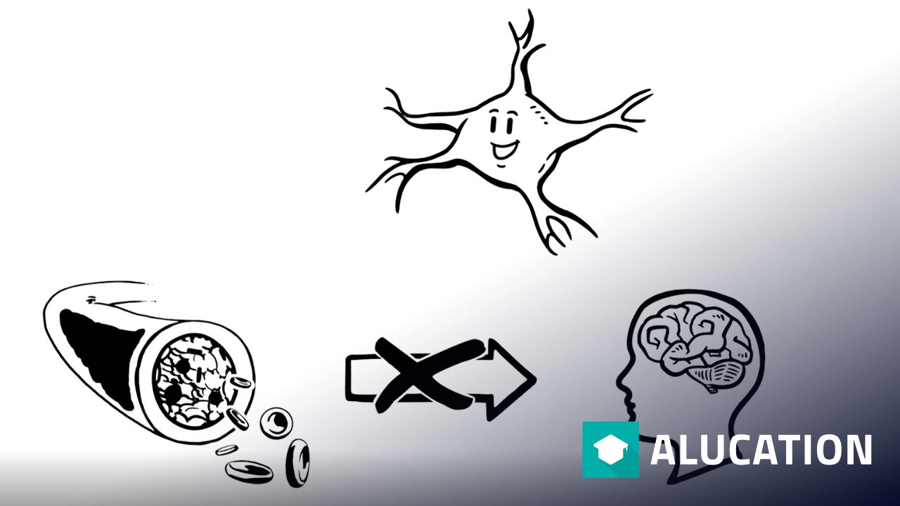 What is a Stroke & Why acting FAST is so important! – alugha