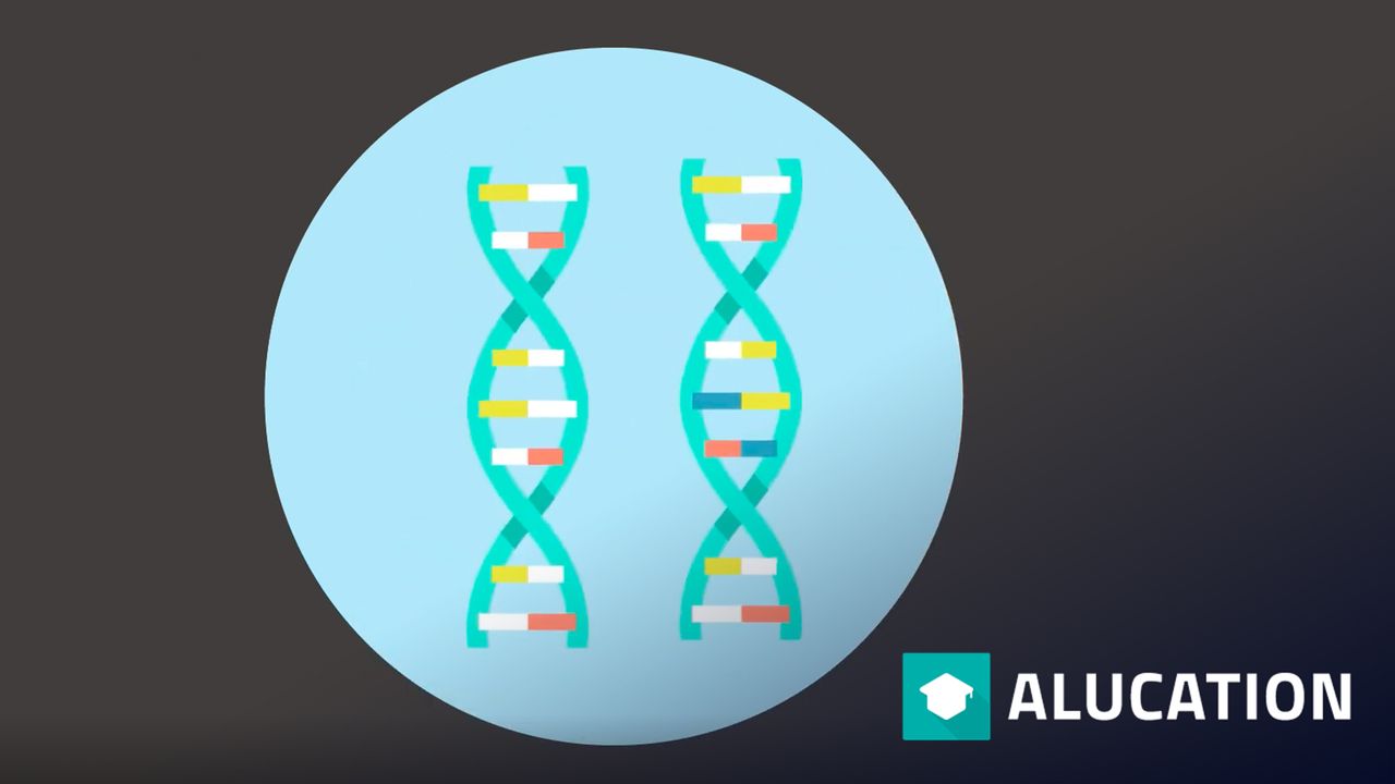 Mutations and Natural Selection | Evolution | Biology | FuseSchool – alugha