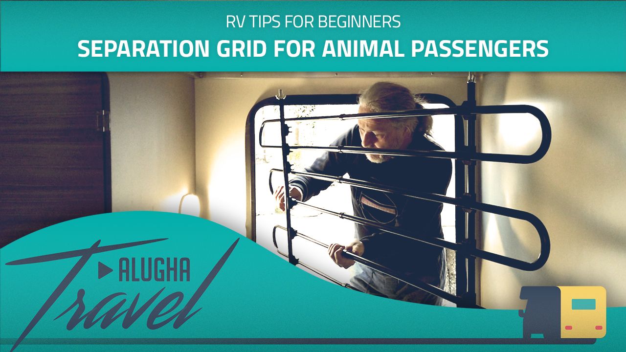 Separation grid for animal passengers – alugha