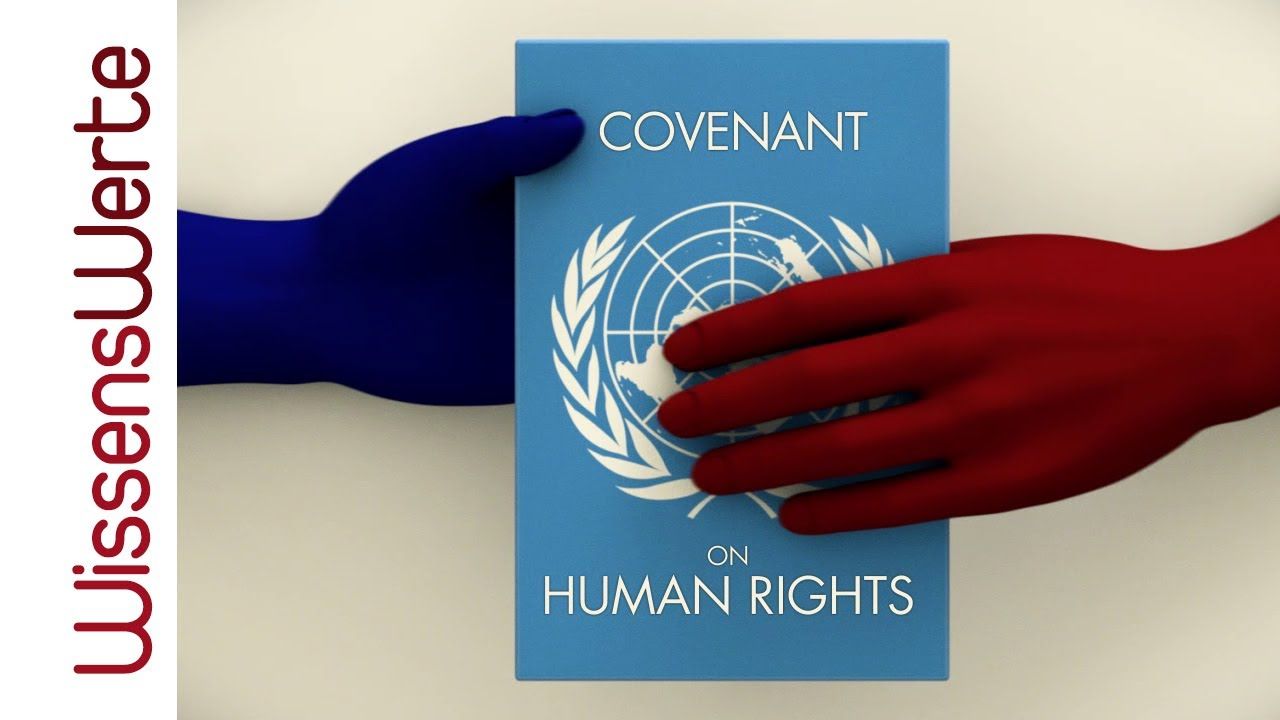 Focus Human Rights: Women's Rights, NGOs, Second Dimension – alugha