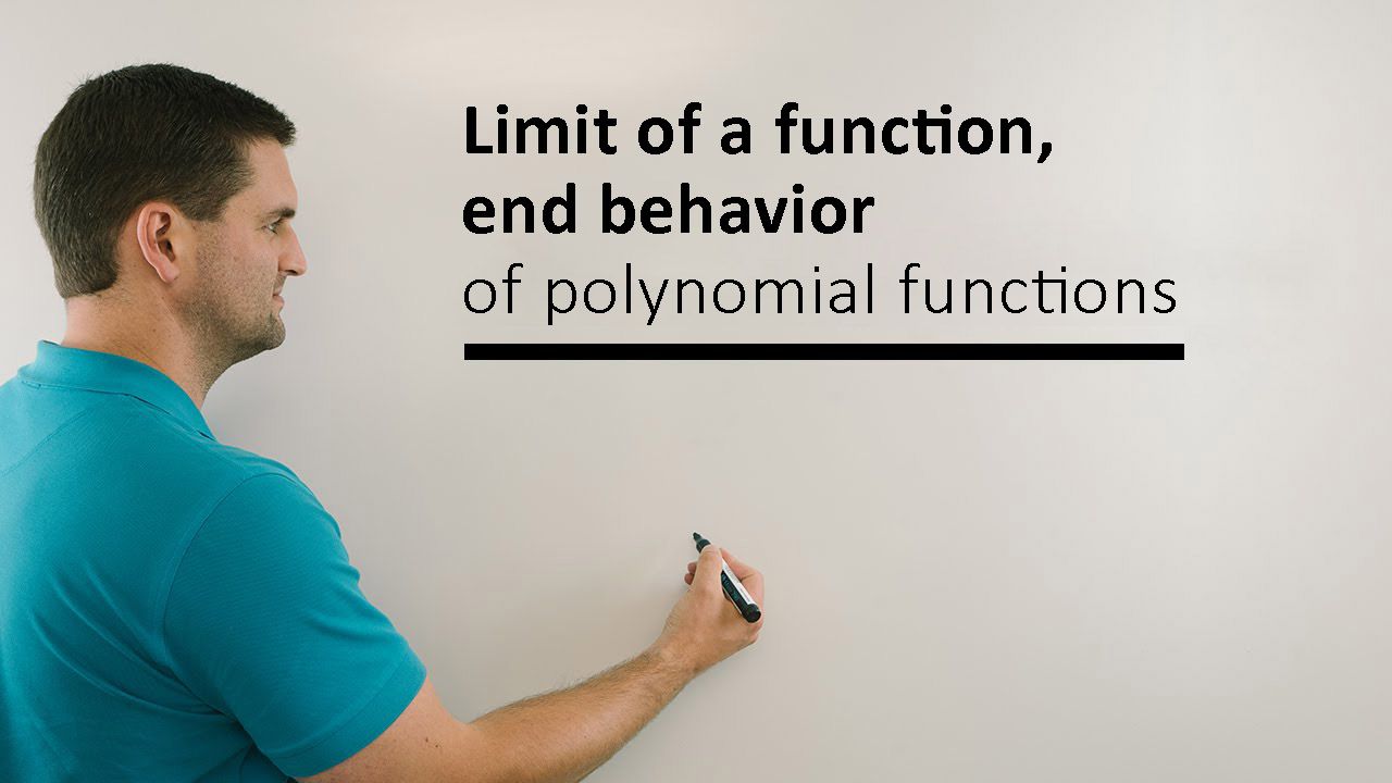 Limit of a function, end behavior of polynomial functions, limit | math ...