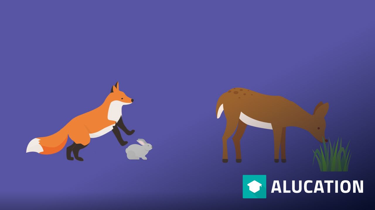 What Are Interspecific & Intraspecific Interactions | Ecology ...