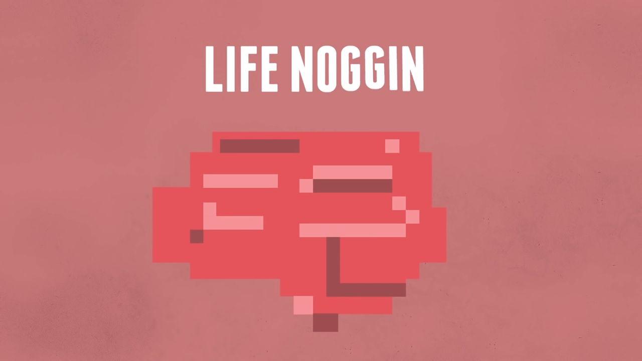 ¡Bienvenido a Life Noggin! – alucation