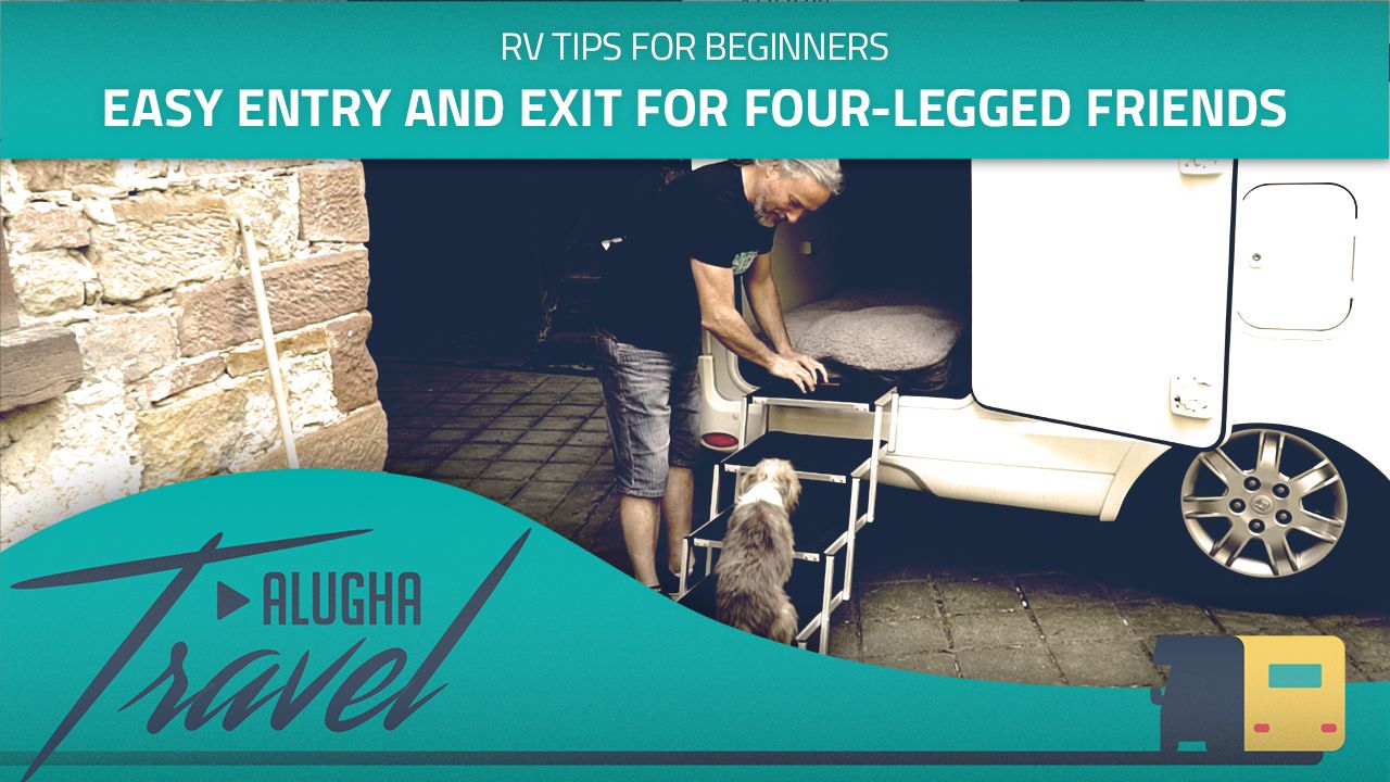 Easy entry and exit for four-legged friends – alugha